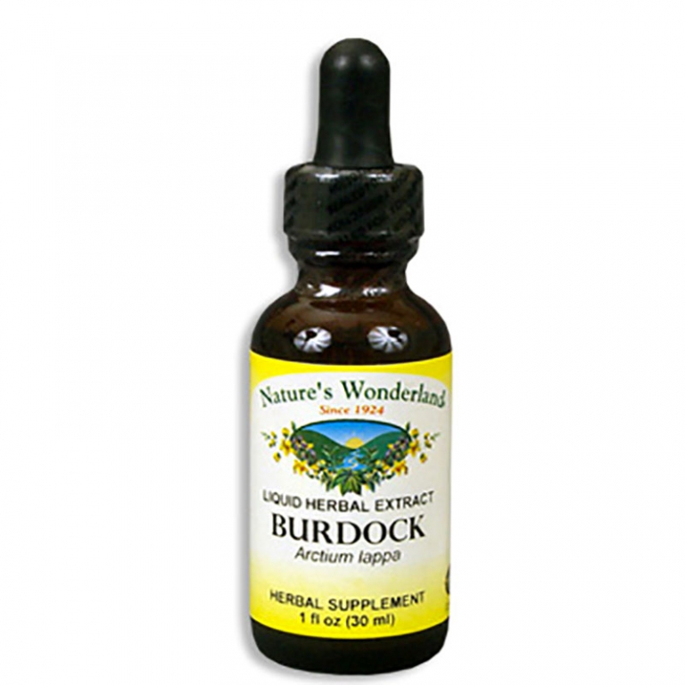 Burdock Root Liquid Extract, 1 fl oz / 30ml (Nature’s Wonderland ...
